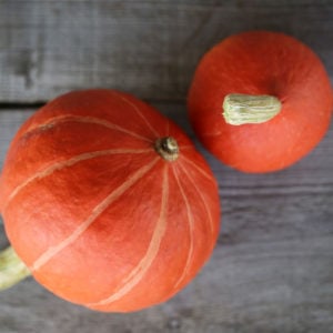 La saison des courges est lancée ! - Le blog de la Brigade